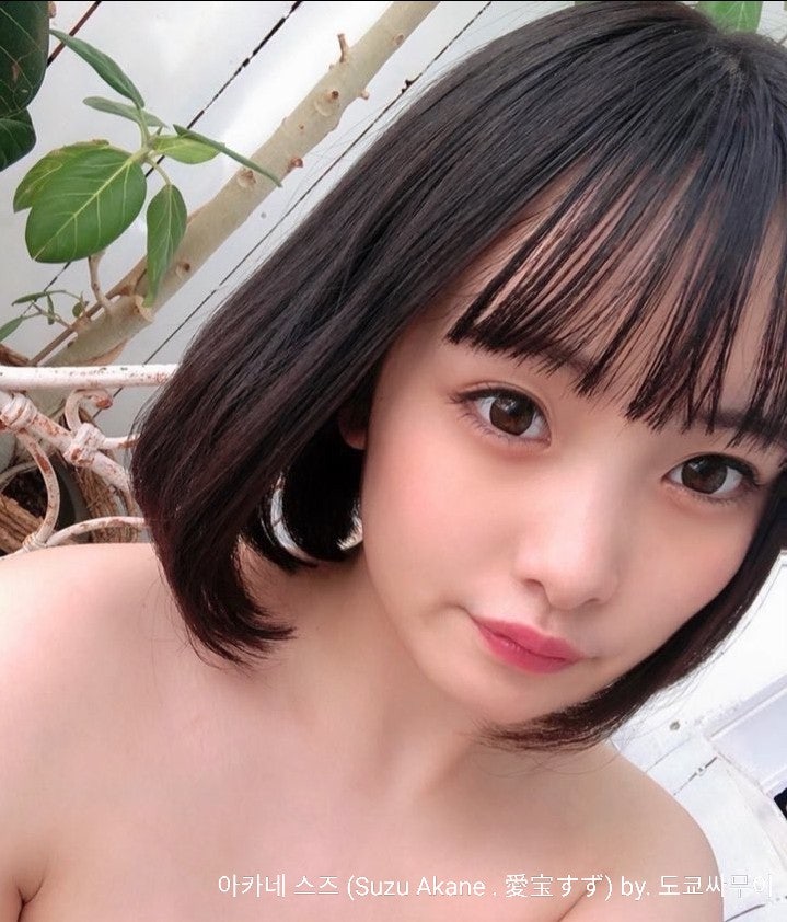 아카네 스즈 / Suzu Akane / 愛宝すず / AV