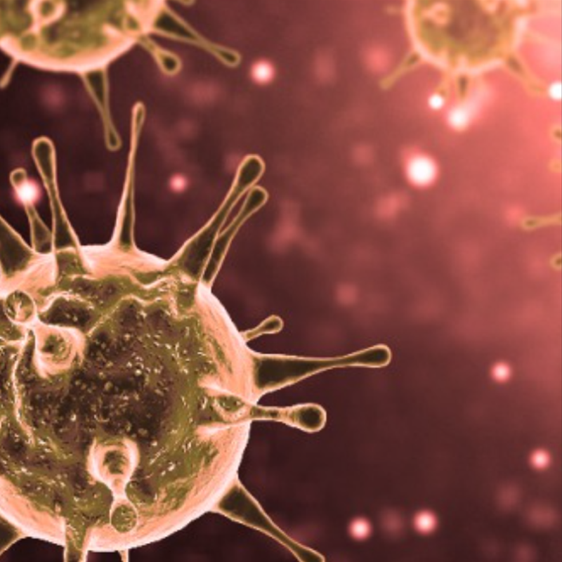 항생제 아모크라정 625mg, 성분/효능효과/먹는법/주의사항 알고 드세요~ : 네이버 블로그