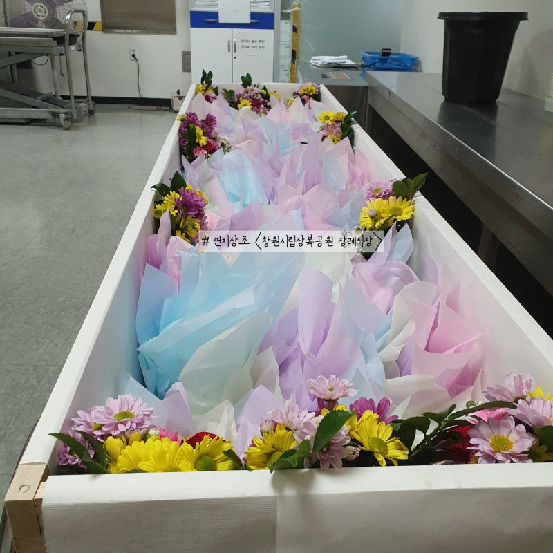 창원시립상복공원장례식장 네이버 블로그