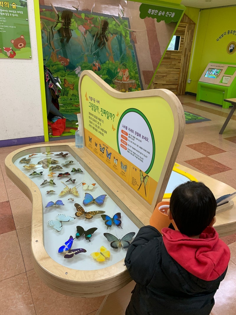재미있는 과학 세상 놀면서 배워요 경기융합과학교육원 북부교육원 의정부 네이버 블로그