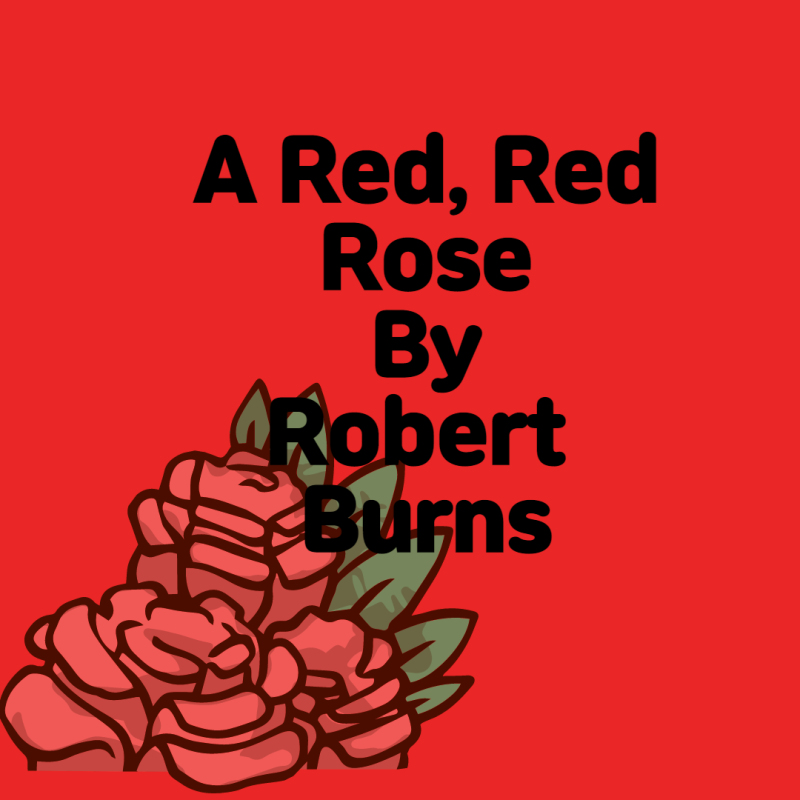 A Red, Red Rose By Robert Burns. : 네이버 블로그
