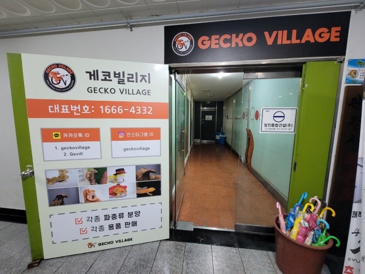 인천 부평 파린이들에게 친절한 파충류 샵 네이버 블로그
