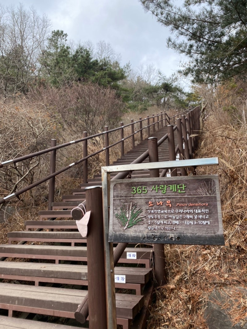 창원 마산 무학산 등산코스와 소요시간 꿀팁 네이버 블로그