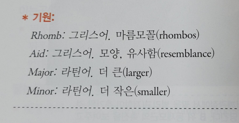 당신을 위한 근육 기능해부학 공부법 1편 쉽게 근육이름 외우기 네이버 블로그