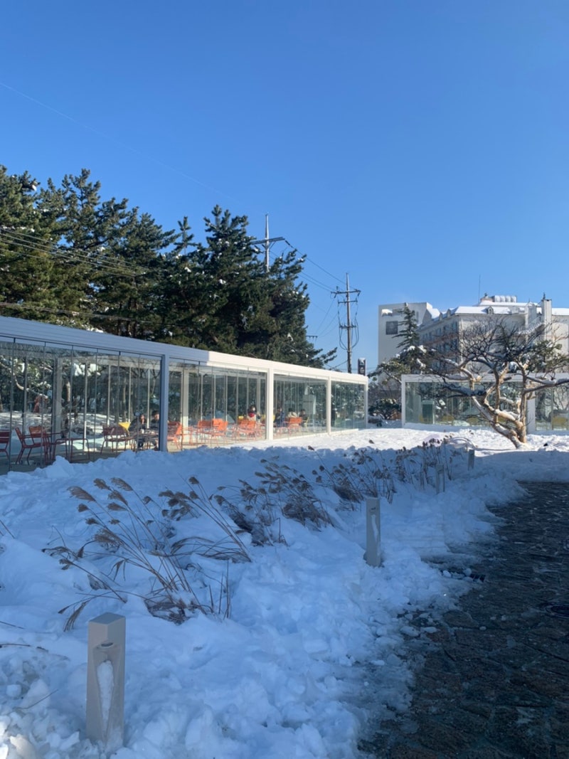 겨울 강원도 강릉여행 버드나무 브루어리 통일집 초록민박 감자적1번지 네이버 블로그