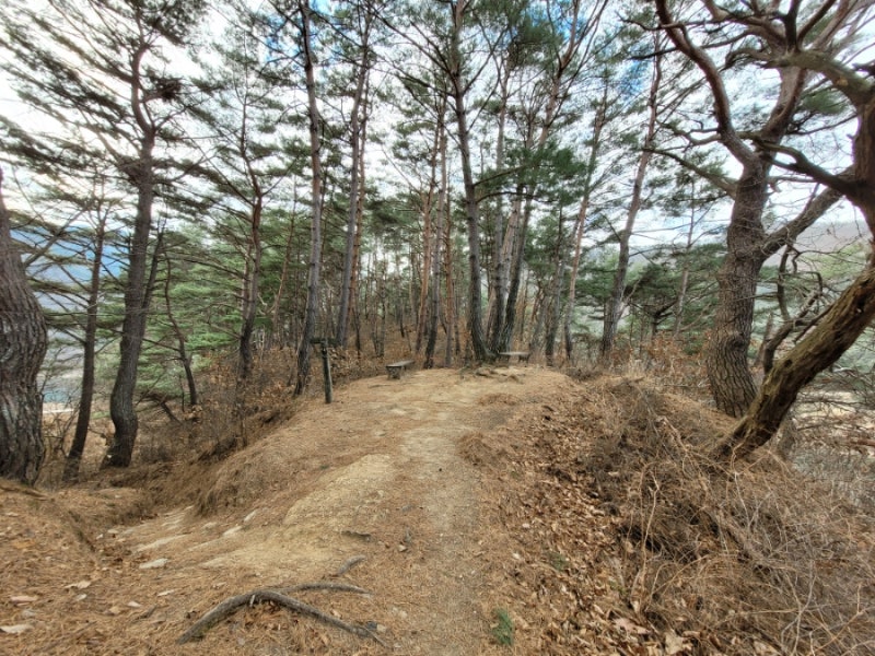인제 소양강둘레길 트레킹13코스 원점회귀 122km 4시간 코스 네이버 블로그