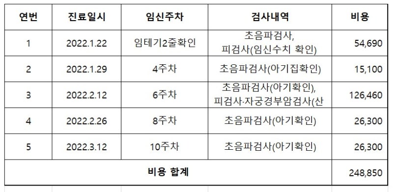 임신 초기 산부인과 검진비용 및 내역 정리임테기 확인 4주차~10주차 네이버 블로그