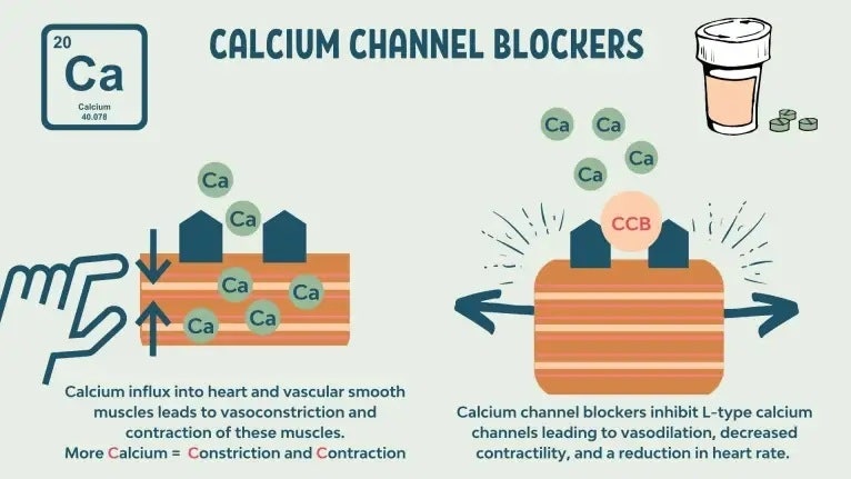 칼슘통로차단제(CCB/ Calcium Channel Blockers) : 네이버 블로그