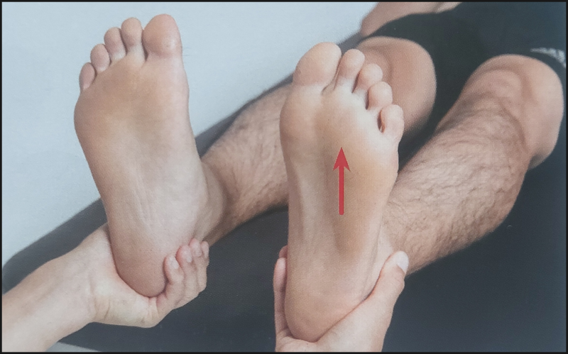 꾀병 검사(Special test) : 후버 검사(Hoover's test) : 네이버 블로그