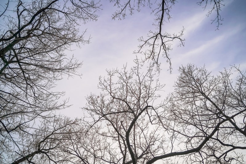 신림근린공원 관악구 둘레길 3코스, 소니 a7m3 탐론2875 촬영 : 네이버 블로그