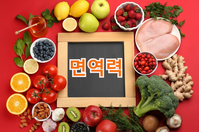 면역력 높이는 방법 면역력에 좋은 음식과 과일 네이버 블로그