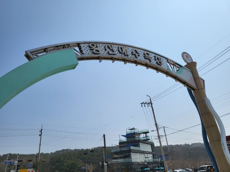 영종도민의 조개잡이 갯벌체험왕산해수욕장동해막국수 네이버 블로그