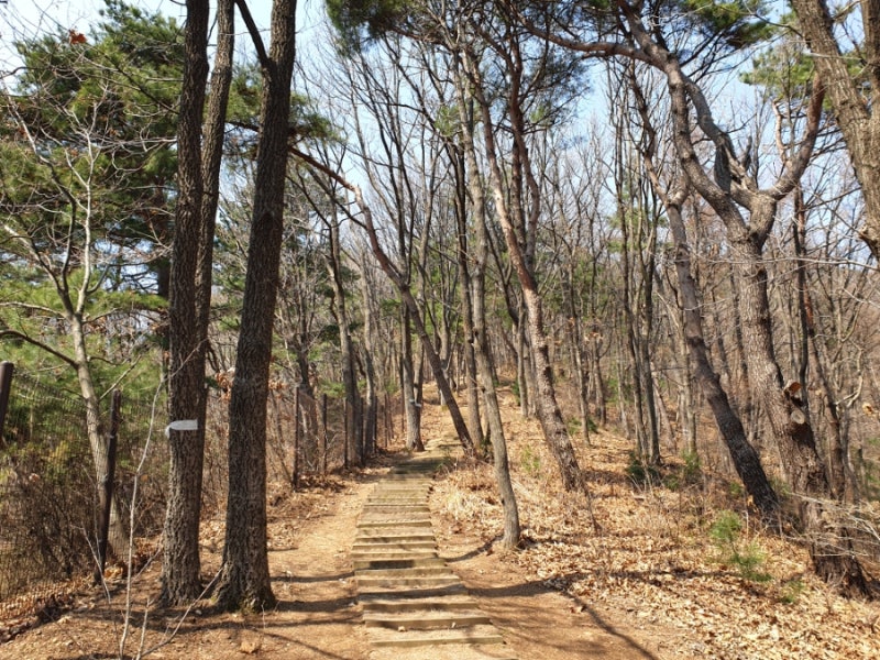 양평 용문산 백운봉 등산코스 쉬자파크~두리봉~백운봉 원점회귀 네이버 블로그