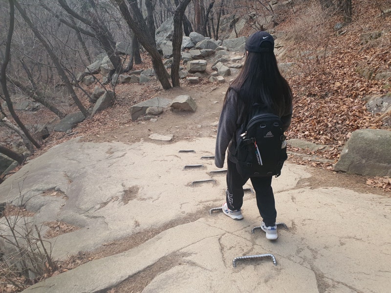 관악산 최단코스 서울대 공학관 건설환경종합연구소 등산코스 네이버 블로그