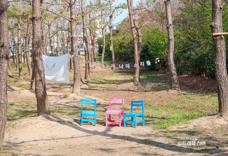 부산 벚꽃 명소 봄꽃 구경 부산 을숙도 생태공원 나들이 네이버 블로그