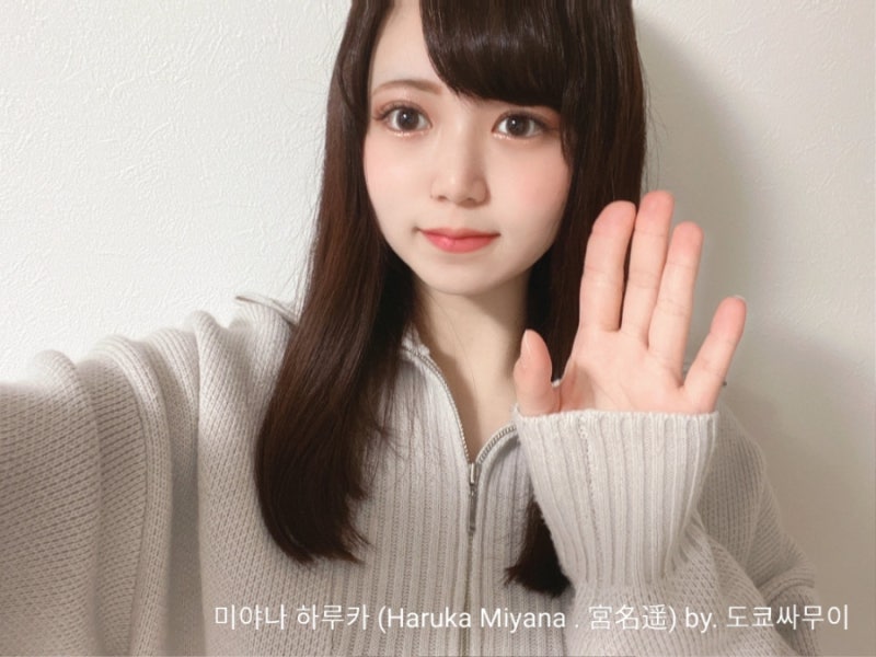 미야나 하루카 (Haruka Miyana . 宮名遥) : 네이버 블로그