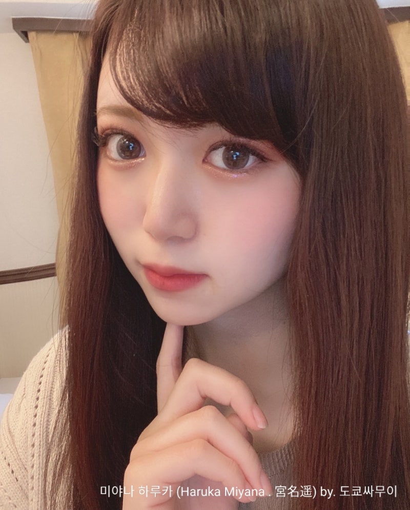 미야나 하루카 (Haruka Miyana . 宮名遥) : 네이버 블로그