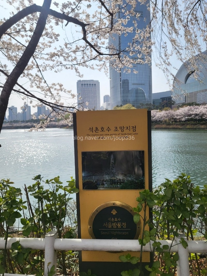 46 방문 서울 벚꽃 명소 석촌호수 동호and서호 비교포토존 공유 네이버 블로그