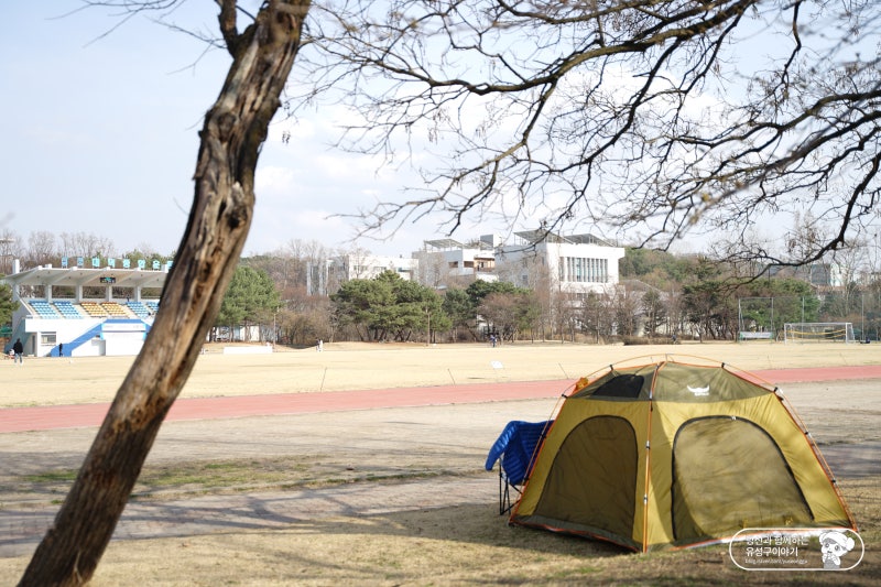 대전 유성구 가볼만한곳 반려견과 산책하고 아이들이 뛰어놀 수 있는 연구단지종합운동장 네이버 블로그