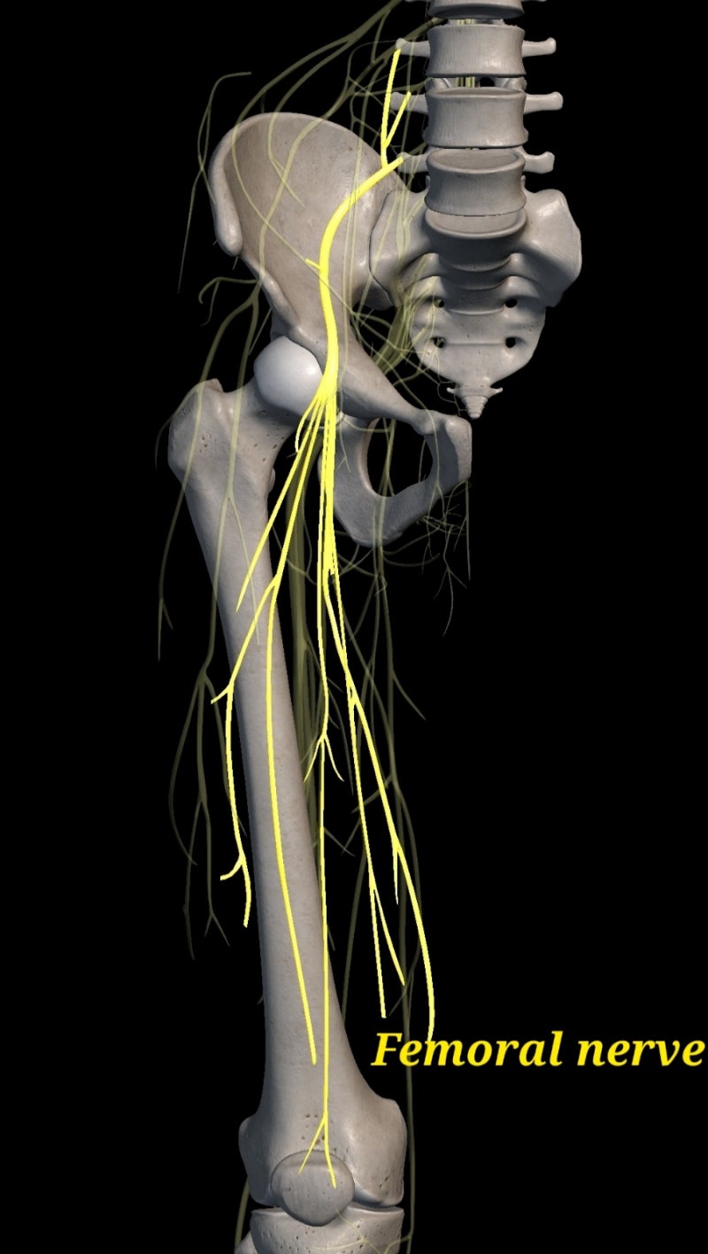 후관절 증후군, 천장관절 증후군 검사 : 요만 검사(Yeoman's test) : 네이버 블로그
