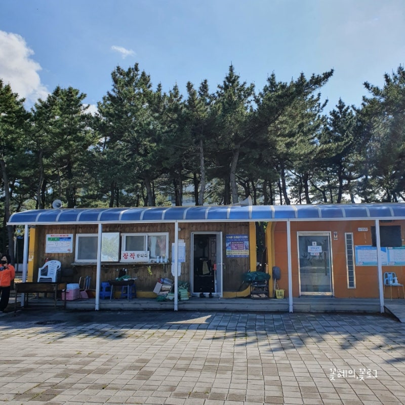양양 캠핑 낙산 해변 야영장 해변가 바로 앞 캠핑 낚시까지 가능 네이버 블로그
