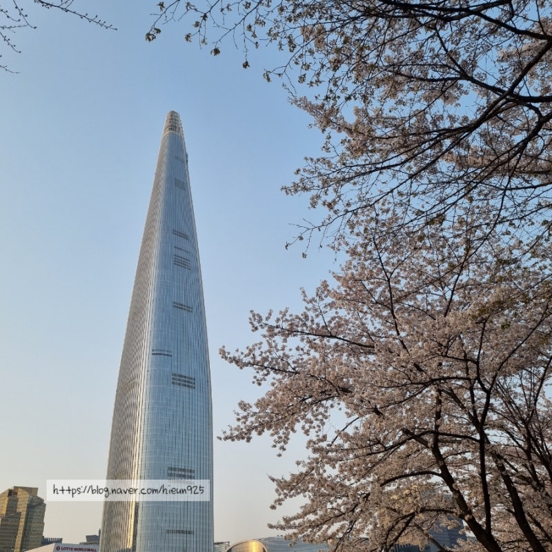 석촌호수 벚꽃 4월 9일 개화현황 벚꽃뷰 문화실험공간 호수 네이버 블로그