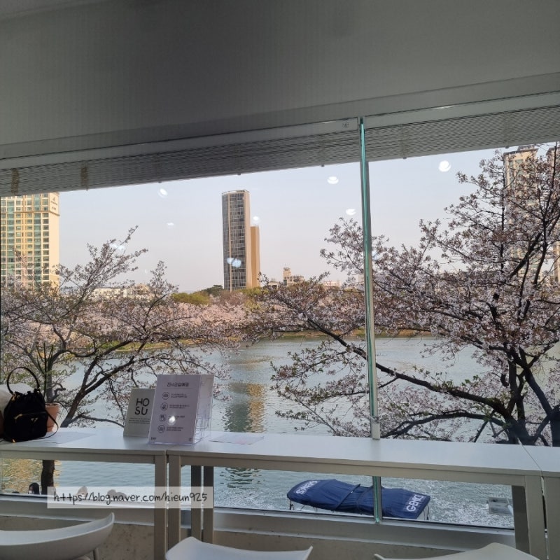 석촌호수 벚꽃 4월 9일 개화현황 벚꽃뷰 문화실험공간 호수 네이버 블로그