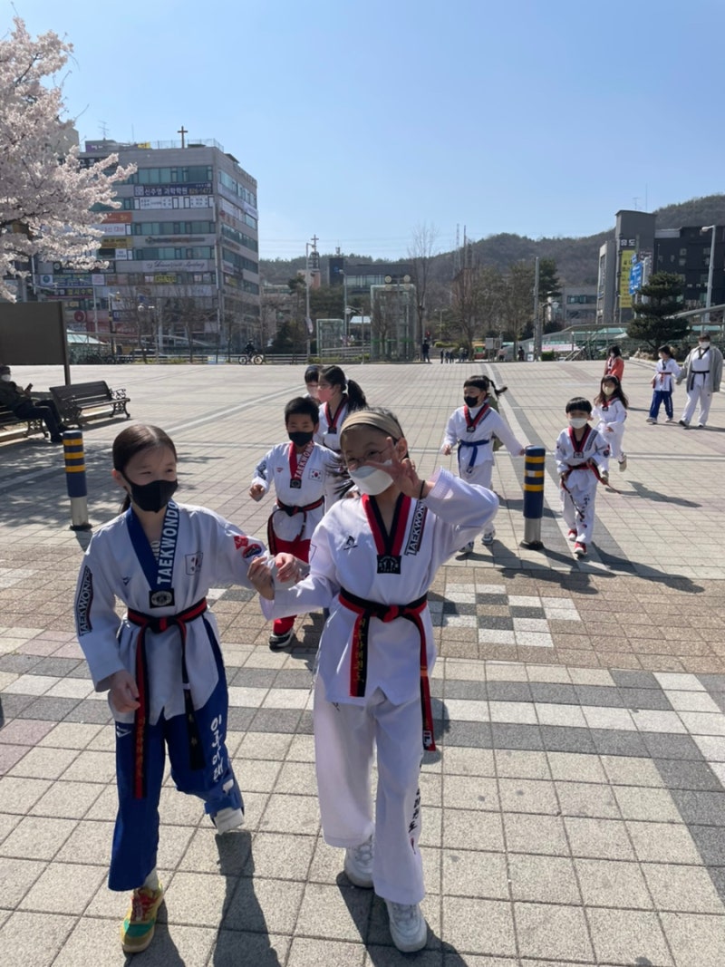 지족동 태권도 이루다 태권도 번개 야외수업 벚꽃놀이 대전 노은동 은구비공원 네이버 블로그