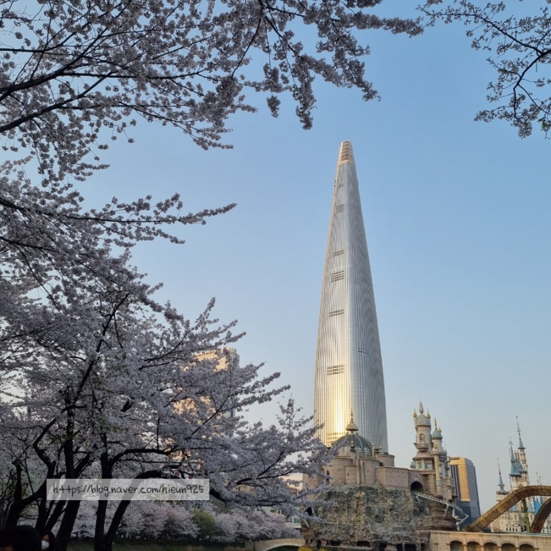 석촌호수 벚꽃 4월 9일 개화현황 벚꽃뷰 문화실험공간 호수 네이버 블로그