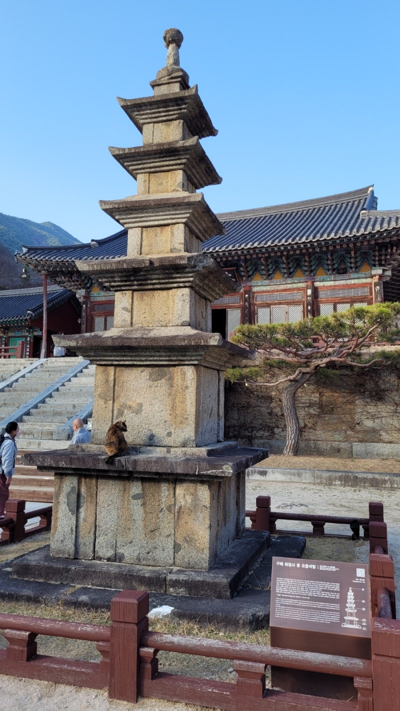 구례하동여행 첫날2 화엄사 화엄사and지리산숙소 지리산풍경펜션 네이버 블로그