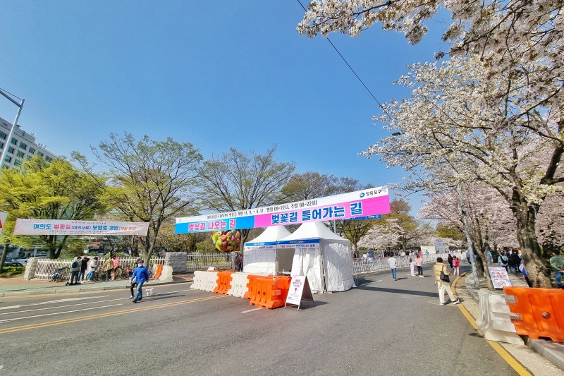 여의도 윤중로 벚꽃 축제 상황 실시간 벚꽃길 주차 정보 네이버 블로그