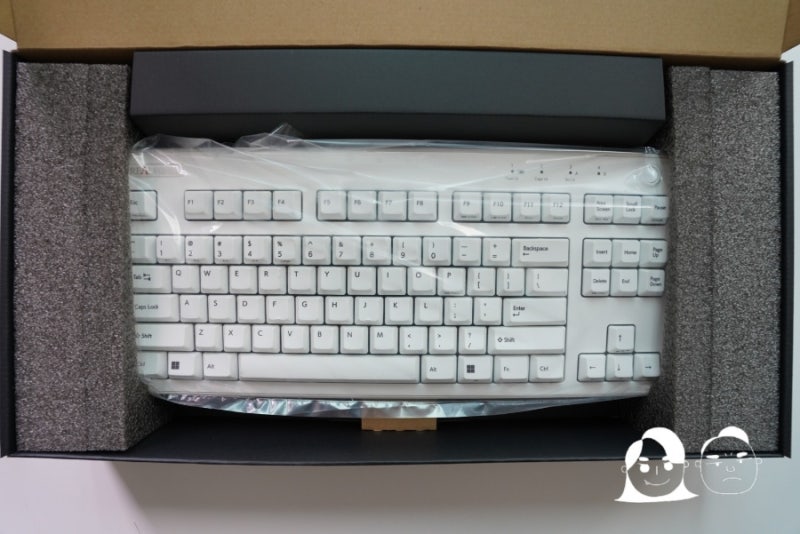 리얼포스 R3 R3HD21 - REAL FORCE R3 TKL 45g 리뷰(R2와 비교) : 네이버 블로그