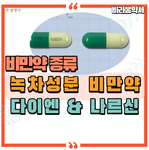약사가 알려주는 약 녹차성분의 병원처방 다이어트 비만 약 다이엔 나르신 오르소시폰 성분효능효과주의사항부작용기전