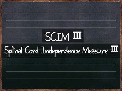 SCIM-Ⅲ (Spinal Cord Independence Measure-Ⅲ) : 네이버 블로그