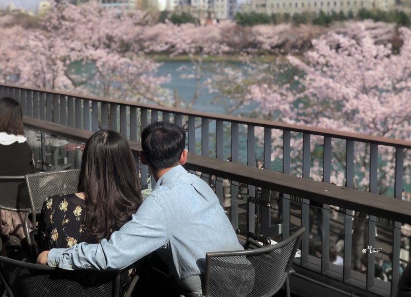 서울 잠실 벚꽃 뷰 카페 석촌호수 야외테라스에서 브런치 🌸 네이버 블로그