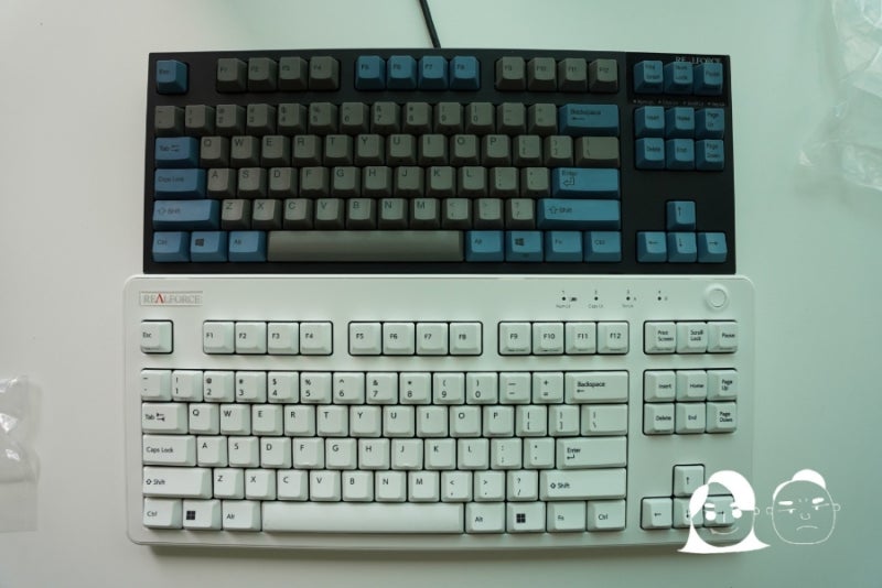 리얼포스 R3 R3HD21 - REAL FORCE R3 TKL 45g 리뷰(R2와 비교) : 네이버 블로그