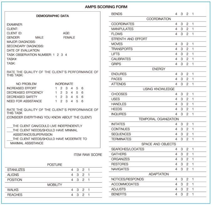 AMPS (Assessment of Motor and Process Skills) : 네이버 블로그