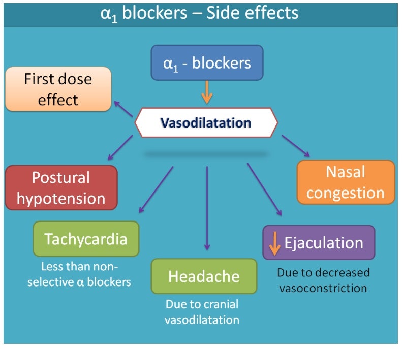 알파 차단제 - 아드레날린 차단제 (Adrenergic Blocking Drugs) : 네이버 블로그