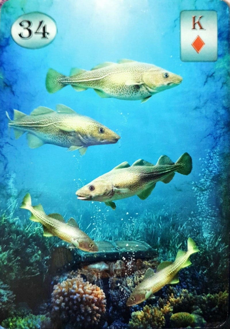 [레노먼드] 카드 조합의 가능한 예 / 34. Fish 물고기 : 네이버 블로그