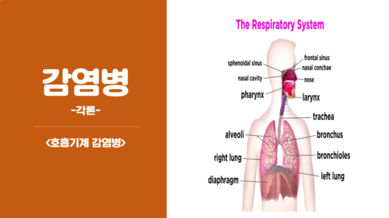 공중보건 4월 1학기 11차시감염병 각론 2 호흡기계 감염병인플루엔자 조류 독감 바이러스 Sars Mers