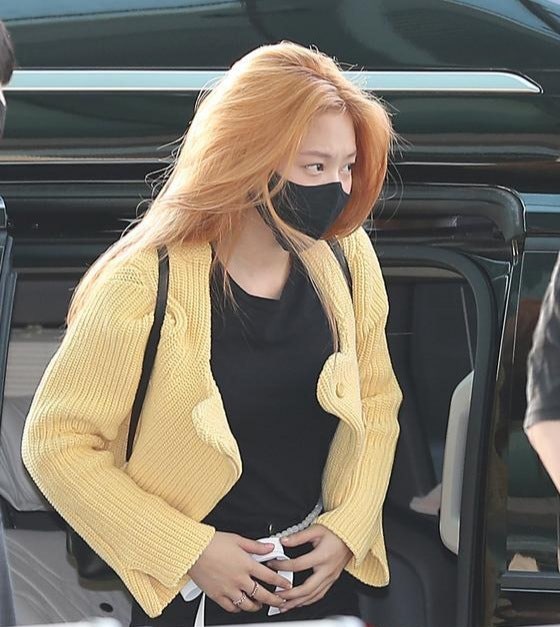 제니 공항패션 니트자켓 가디건 브랜드 렉토 Recto 제니옐로우 가디건 니트자켓 네이버 블로그