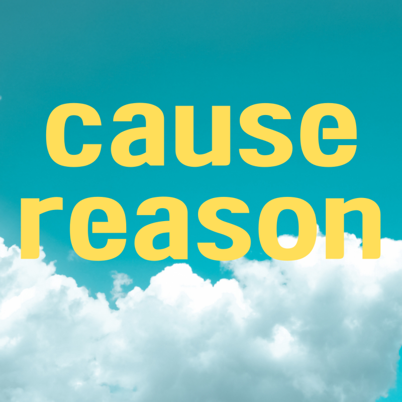 이유 영어로 cause of / reason for 차이, 예문 : 네이버 블로그