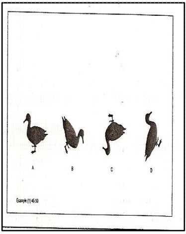 MVPT-3 (Motor-free Visual Perception Test-3) : 네이버 블로그