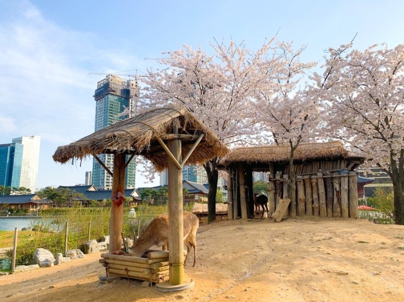 인천 송도 가볼만한곳 센트럴파크 벚꽃 보트 카페 자전거 등 공원 놀거리 네이버 블로그