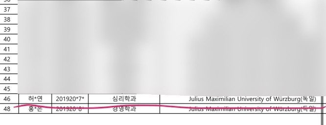 1 가톨릭대학교 교환학생 독일 뷔르츠부르크 대학교 수학계획서and면접 네이버 블로그