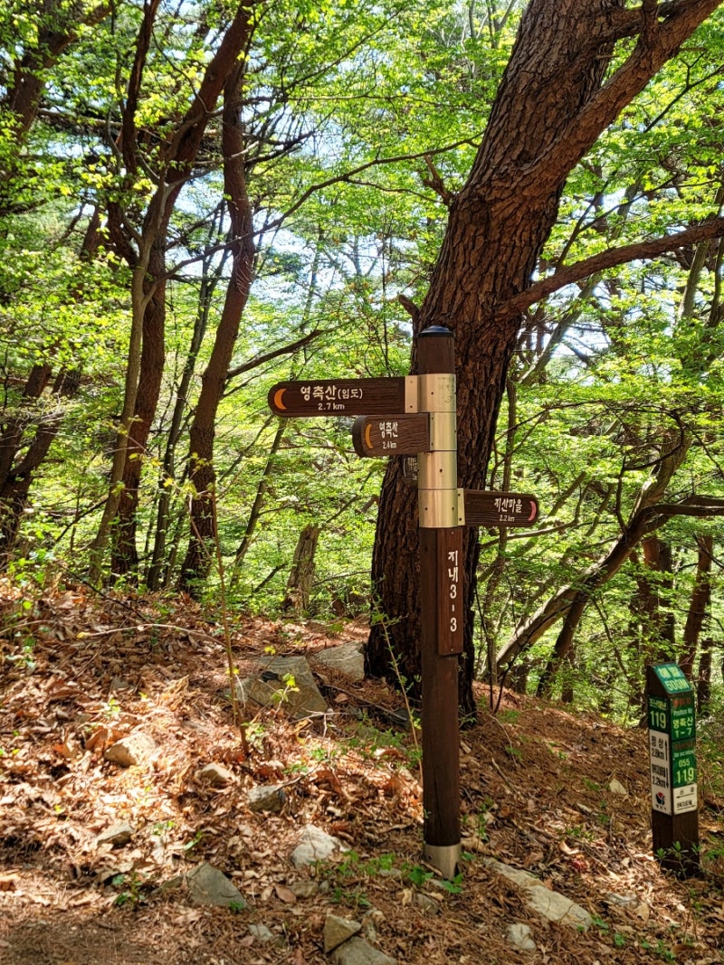 영축산 등산축서암 최단코스 왕복 8km 등산 후기영남알프스 네이버 블로그