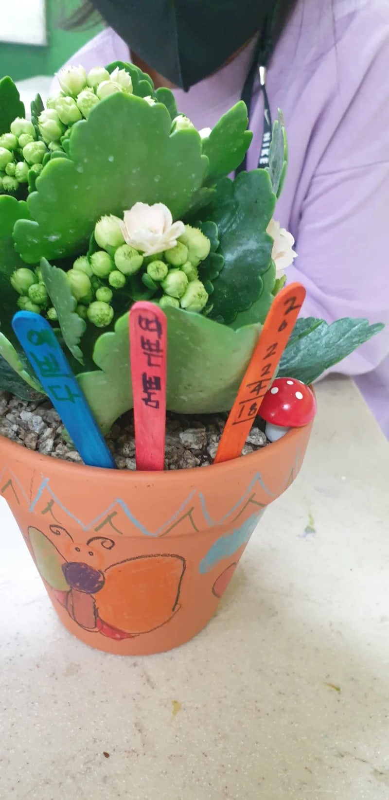 초등학교 방과후학교 키즈플라워아트 나만의화분 갈란디바퀸로즈심기 네이버 블로그