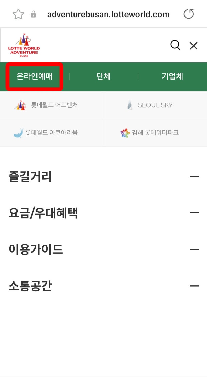 부산기장 롯데월드 자유이용권매직패스연간이용권 종류 가격 할인 총정리 Feat 모바일 온라인 예매 주의사항