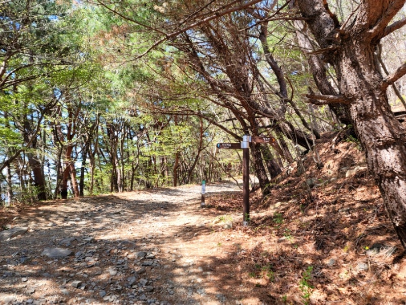 영축산 등산축서암 최단코스 왕복 8km 등산 후기영남알프스 네이버 블로그