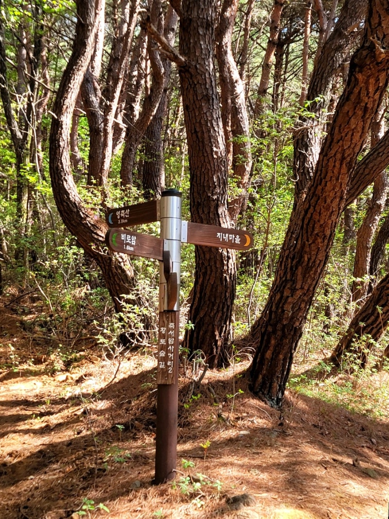 영축산 등산축서암 최단코스 왕복 8km 등산 후기영남알프스 네이버 블로그